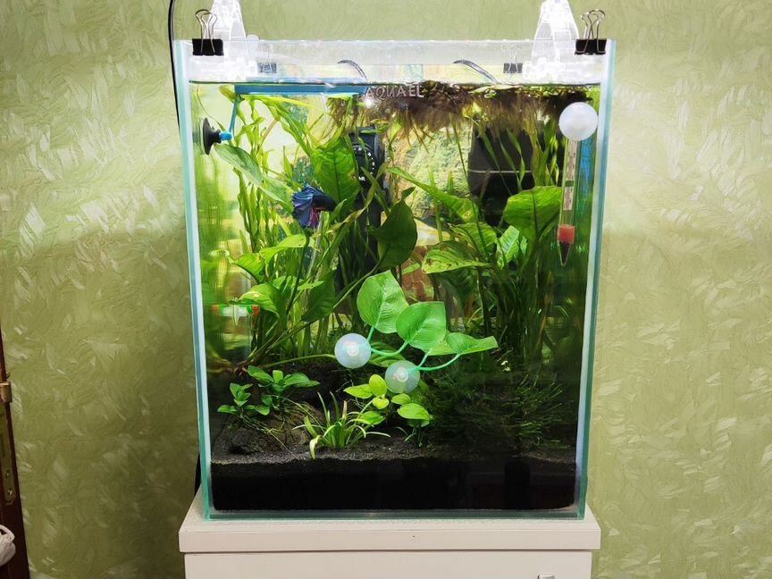 Аквариум aquael shrimp SET DAY & night 30л