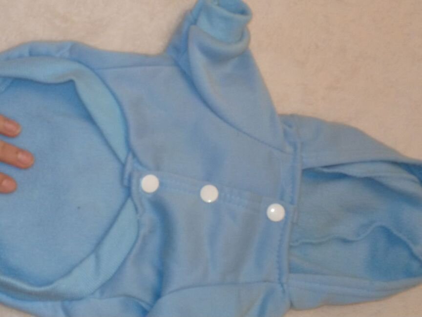 Одежда для животных