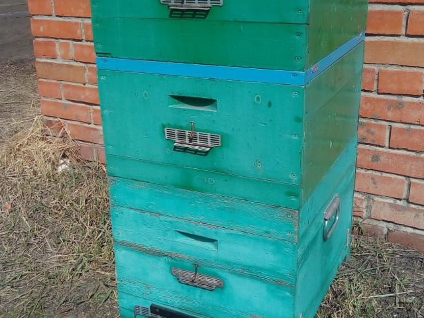 Продам ульи для пчел