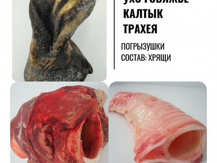 Мясо для собак, корм для собак с доставкой на дом
