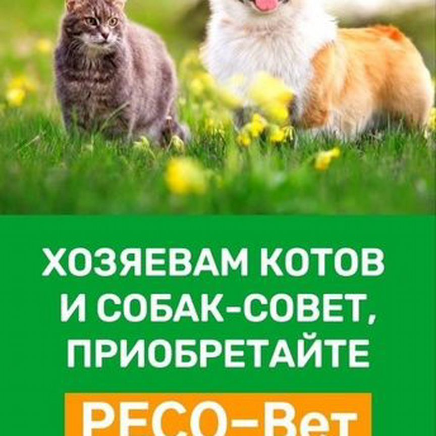 Полисресовет, подарок своему питомцу