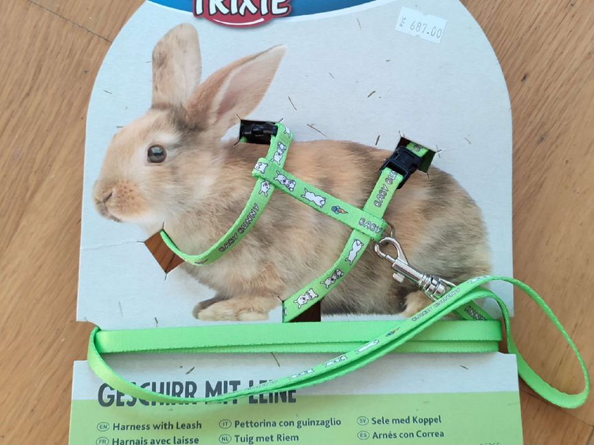 Шлейка с поводком для крольчат