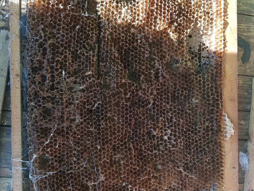 Рамки для пчел