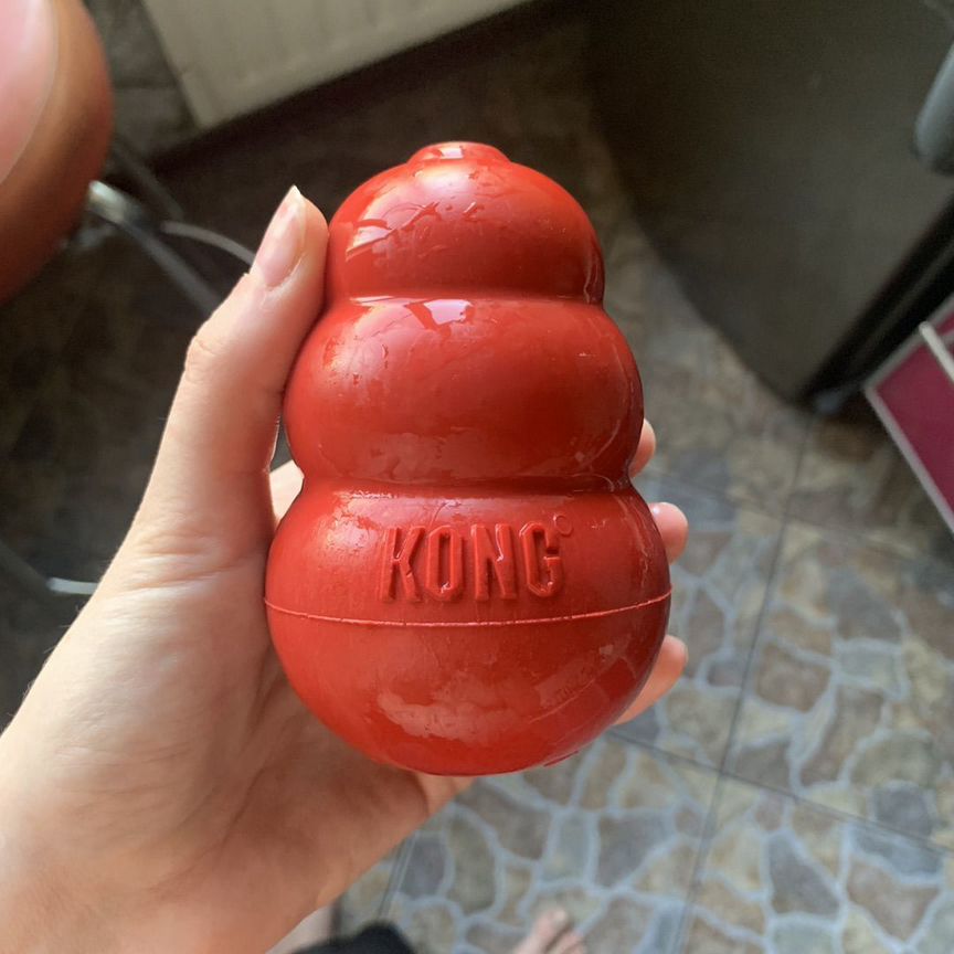 Kong для собак