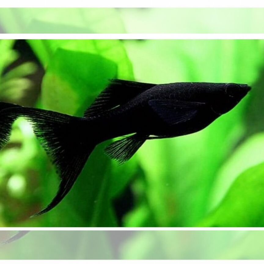 Продам аквариум полностью готовый к установки