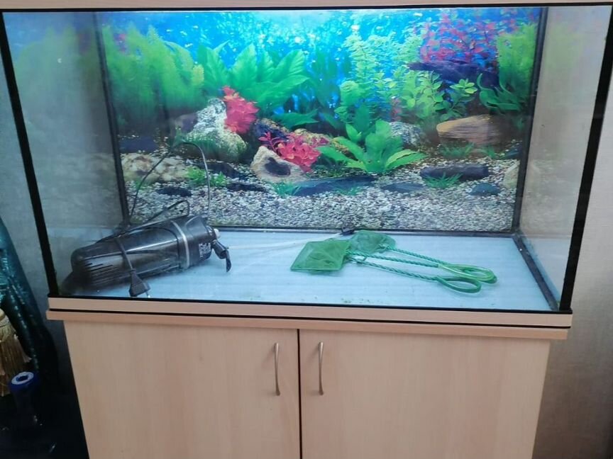 Аквариум