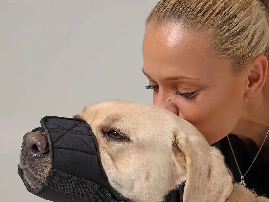 Мягкий намордник тканевый с кольцами Nature Pet