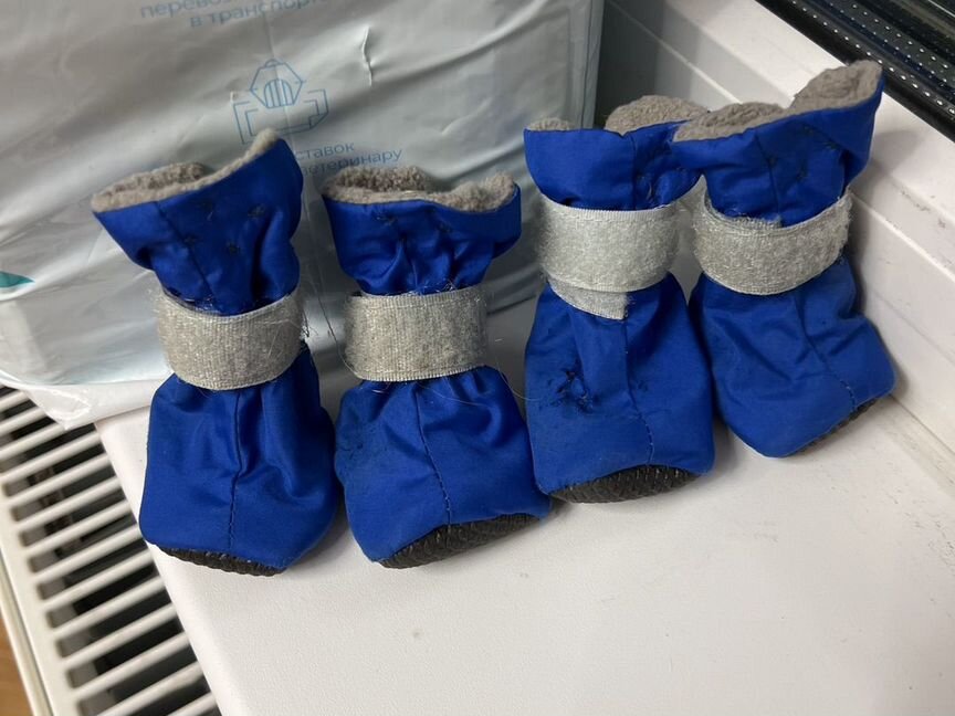Зимние ботинки для собак