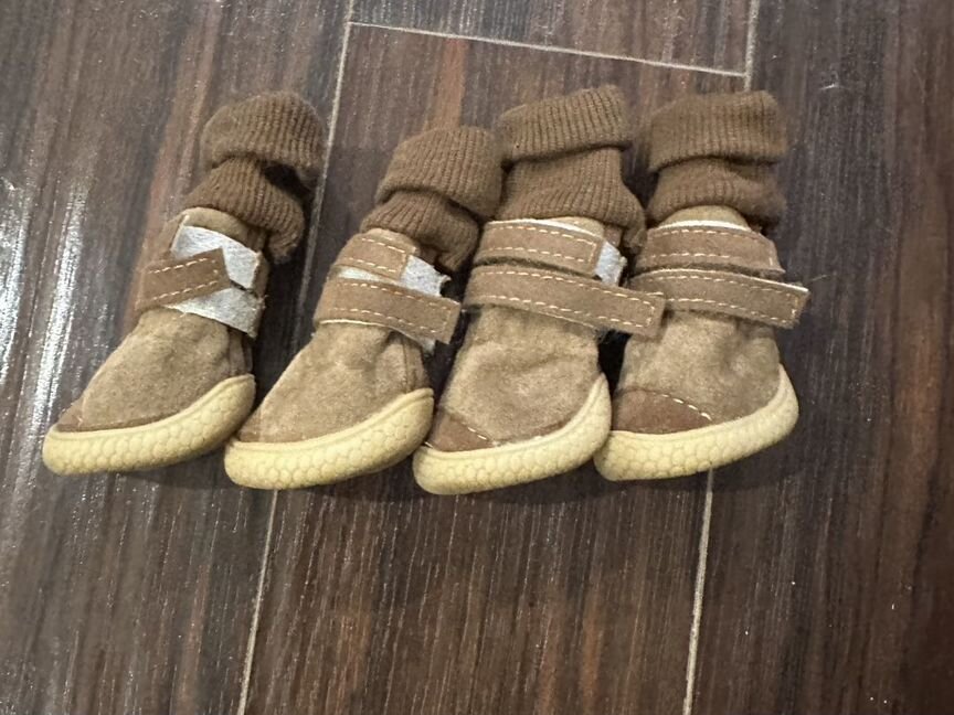 Обувь для маленькой собаки