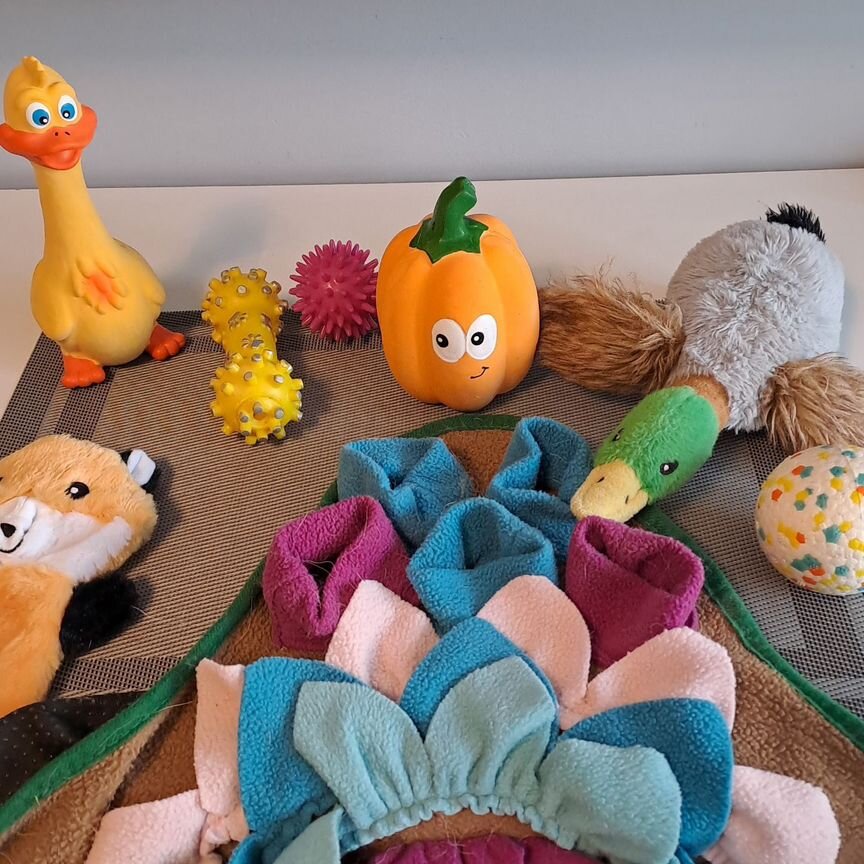 Игрушки для собак пакетом