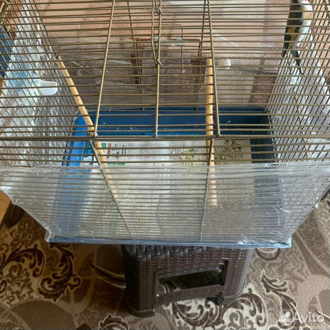 Шегол с клеткой