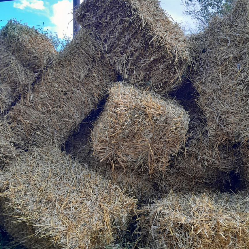 Салома в тюках