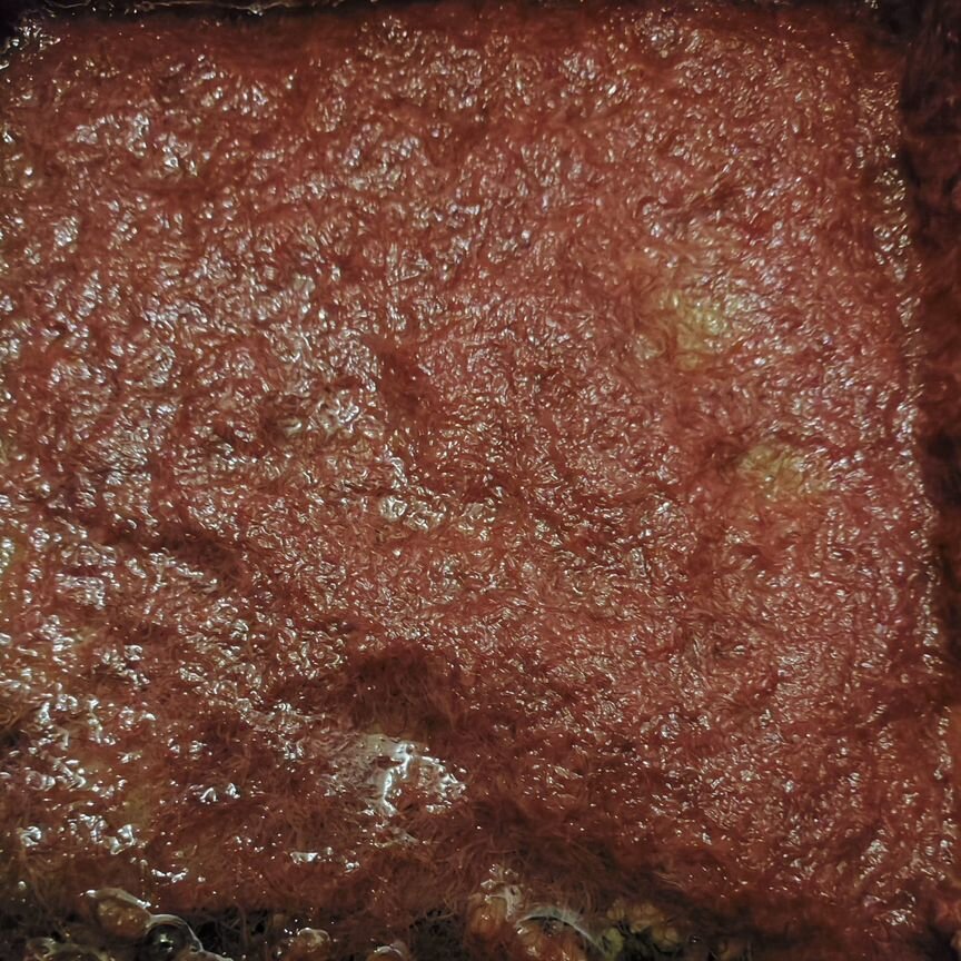 Трубочник Изя