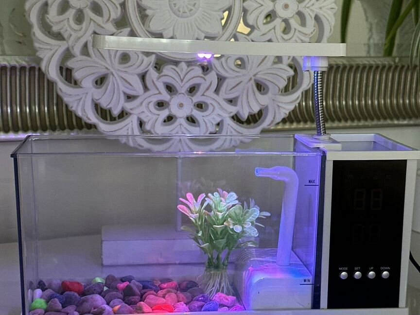 Аквариум xiaomi