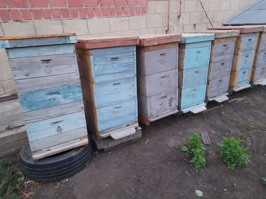 Улей для пчел бу