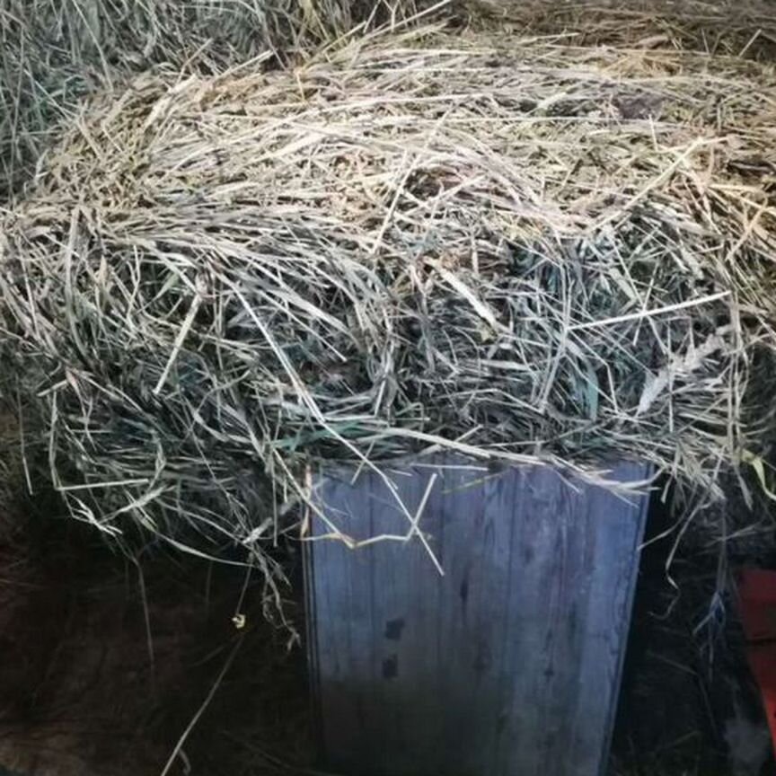 Сено в тюках