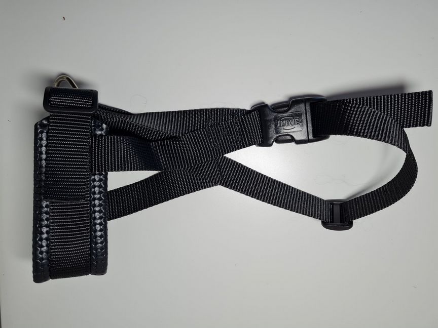 Новый недоуздок (халти) для собак