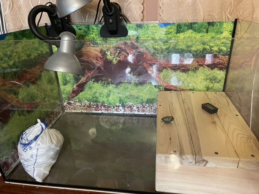 Продам террариум