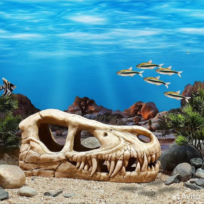 Декорации для аквариума - Скелеты рыб и рептилий