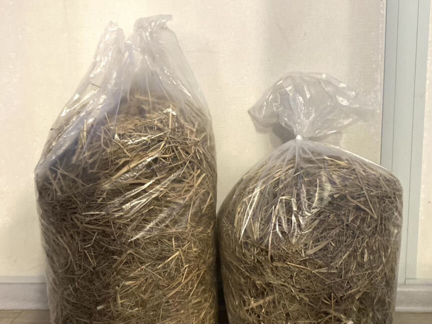 Сено для подстилки бесплатно