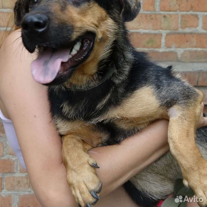 Боня ждет свою семью