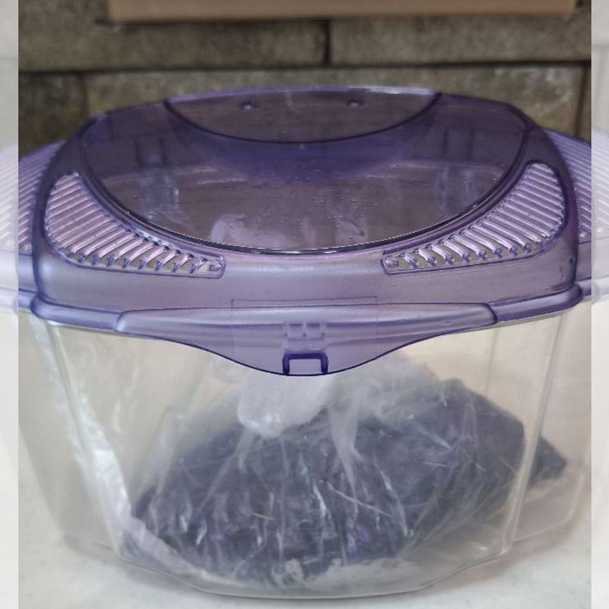 Аквариум переносной