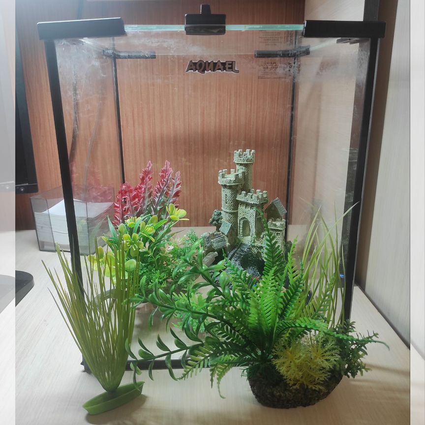 Аквариум