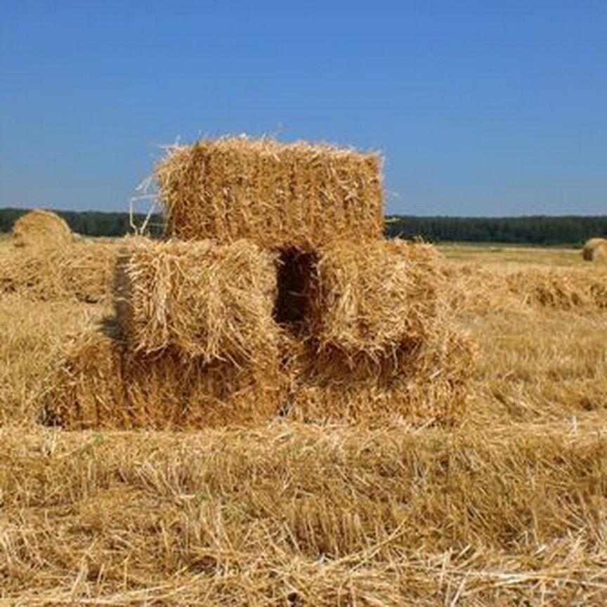 Солома в тюках