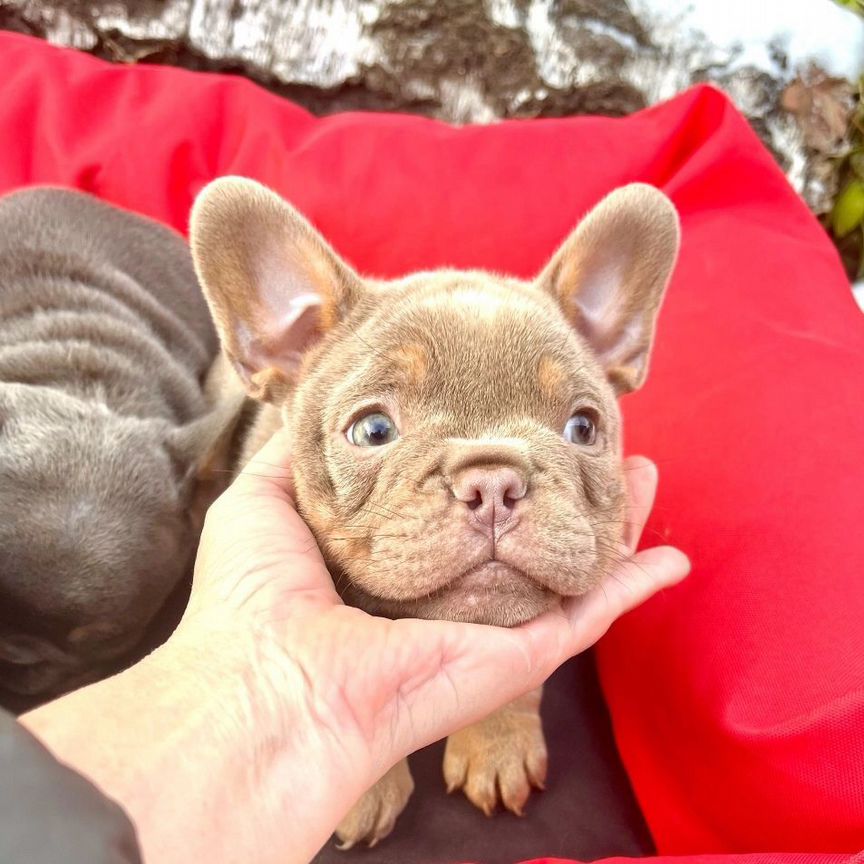 Крутые пацаны. Лучшего качества