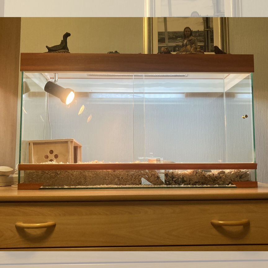 Террариум для рептилий