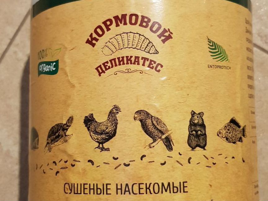 Личинки черной львинки кормовые