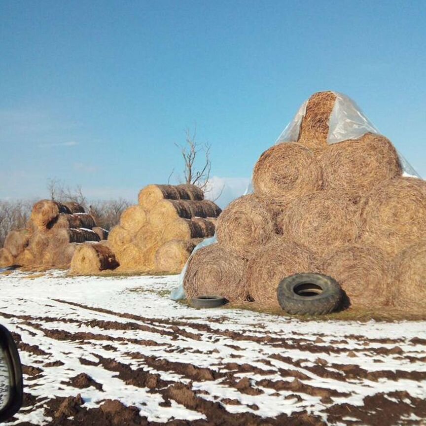 Солома (овес, ячмень, горох)