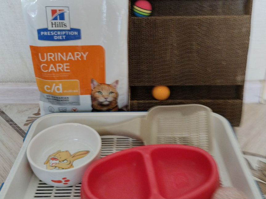 Вещи для кота