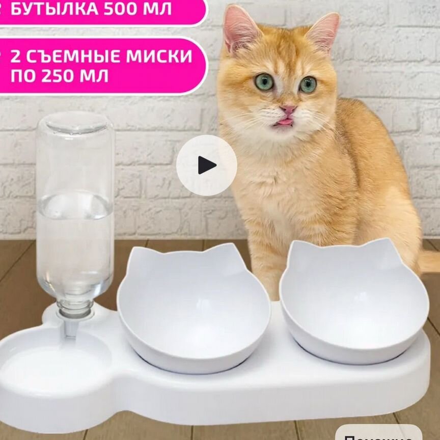 Для кошек миска с автопоилкой