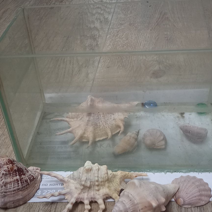 Аквариум маленький