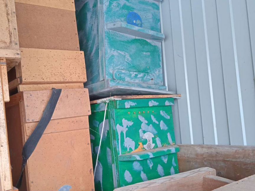 Ловушка для пчел