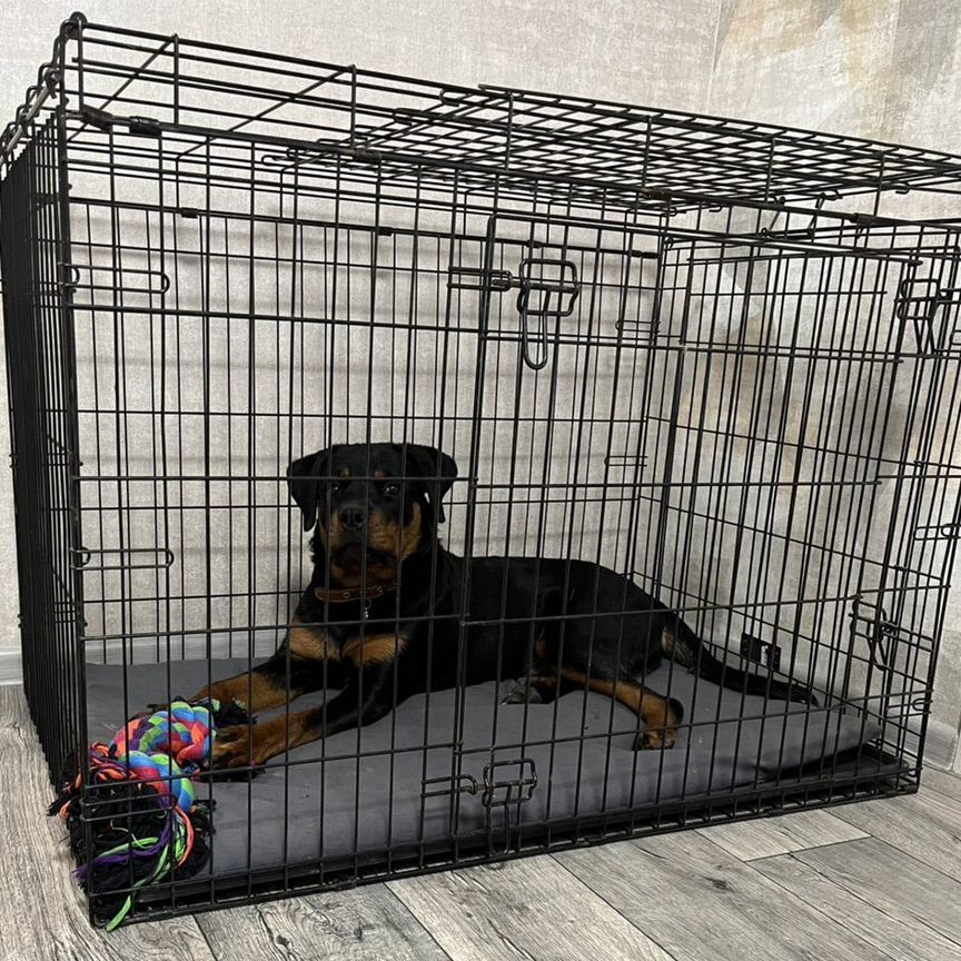 Клетка для собак