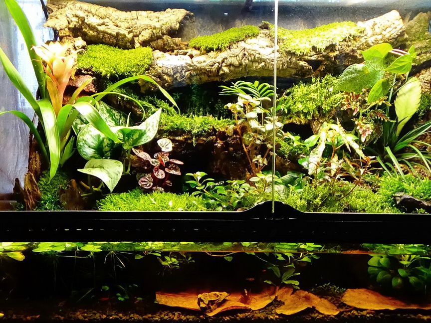 Поролон для аквариумов, террариумов,палюдариумов