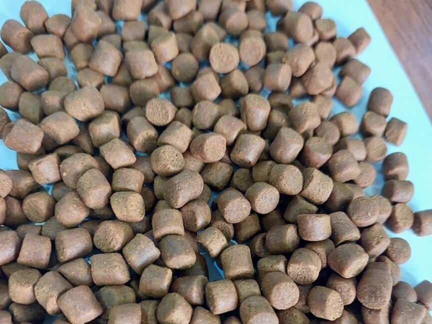 Корм для прудовой рыбы