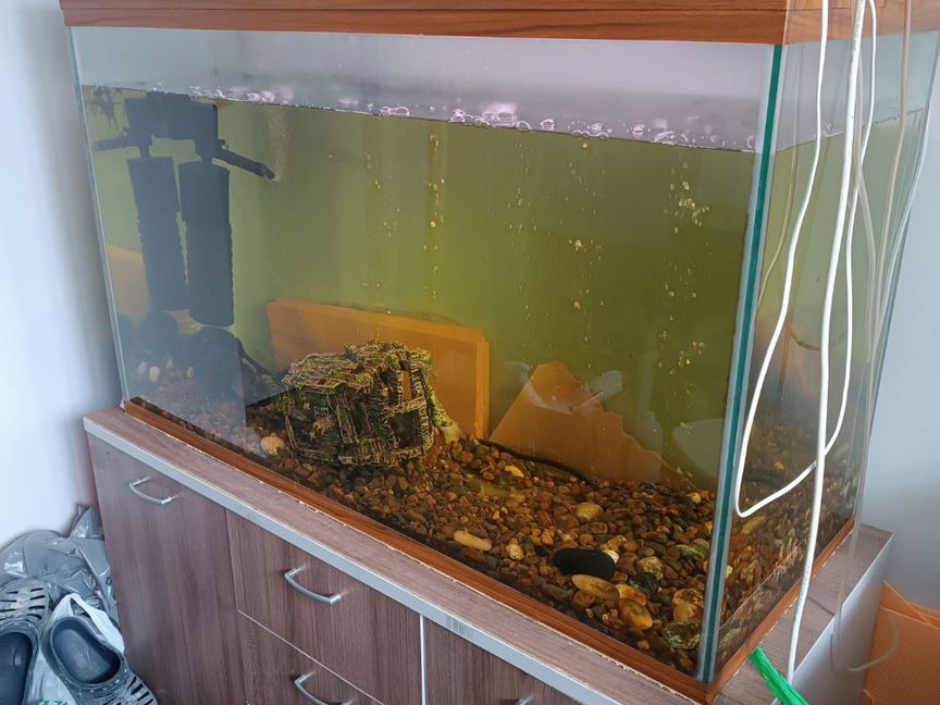 Аквариум с рыбками