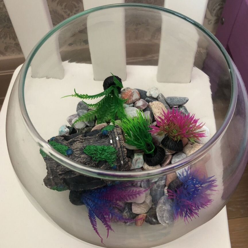 Аквариум с наполнением