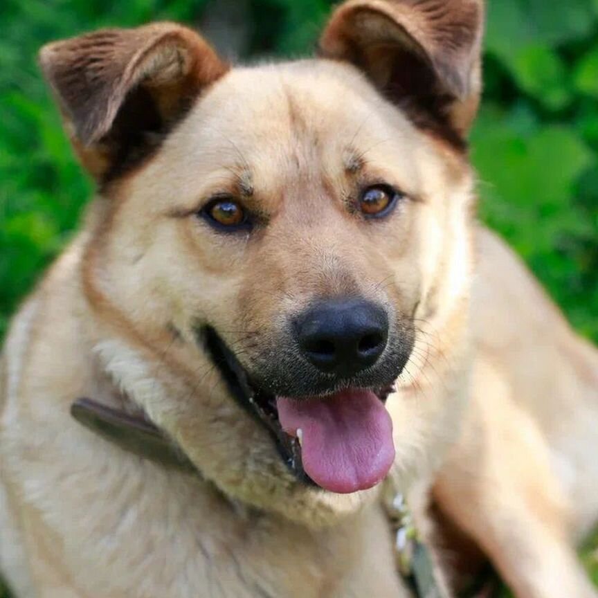 Каждый имеет право на любовь мила