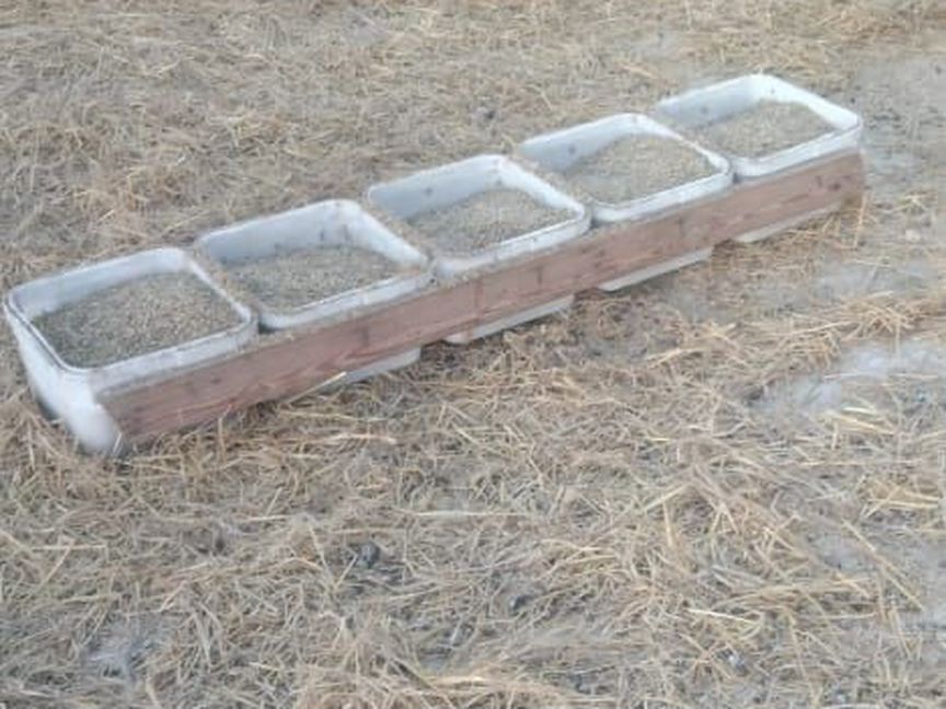 Отходы ячменя Зерноотходы для овец кур свиней коз