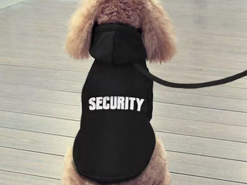 Кофта-толстовка для кошек и собак gabydog Security