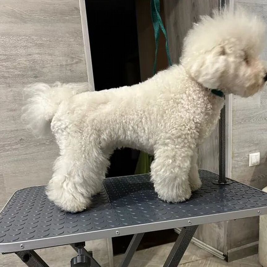 Стол для груминга складной (От производителя)