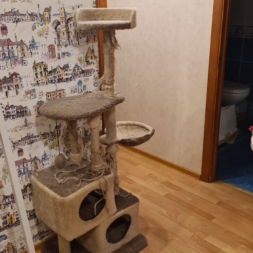 Домик когтеточка отдам