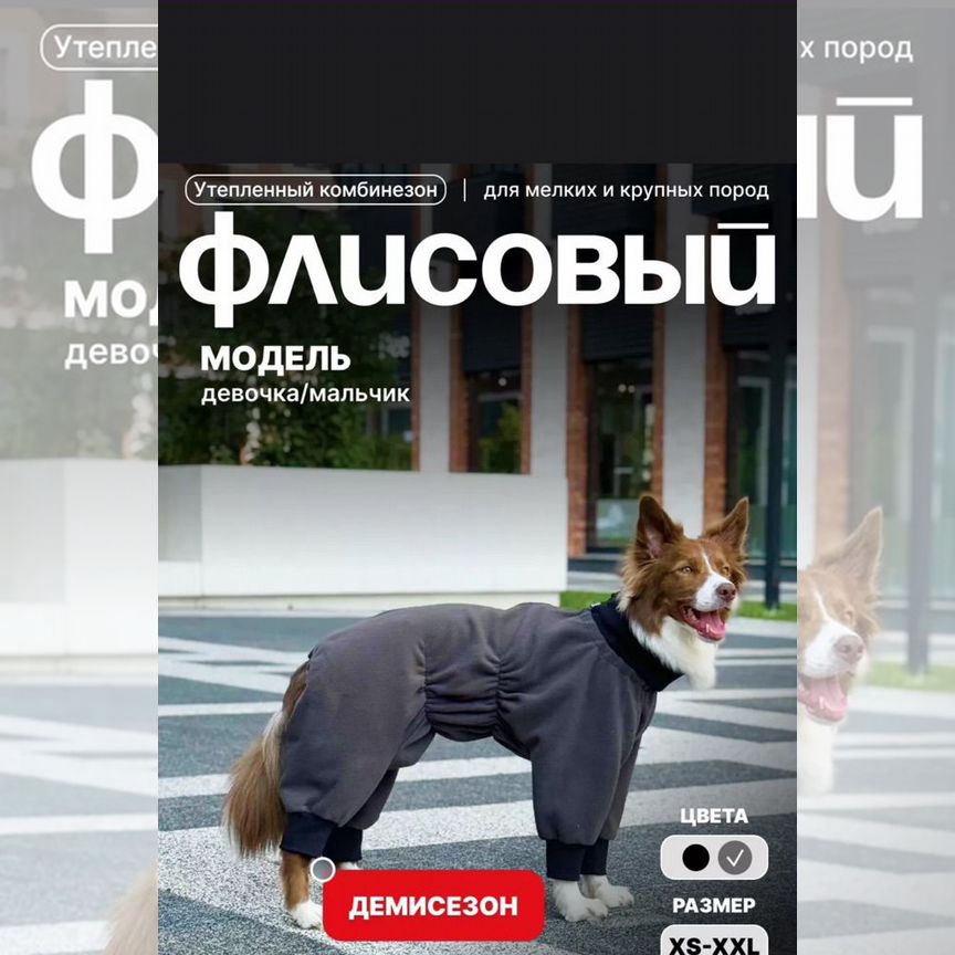 Комбинезон для собаки