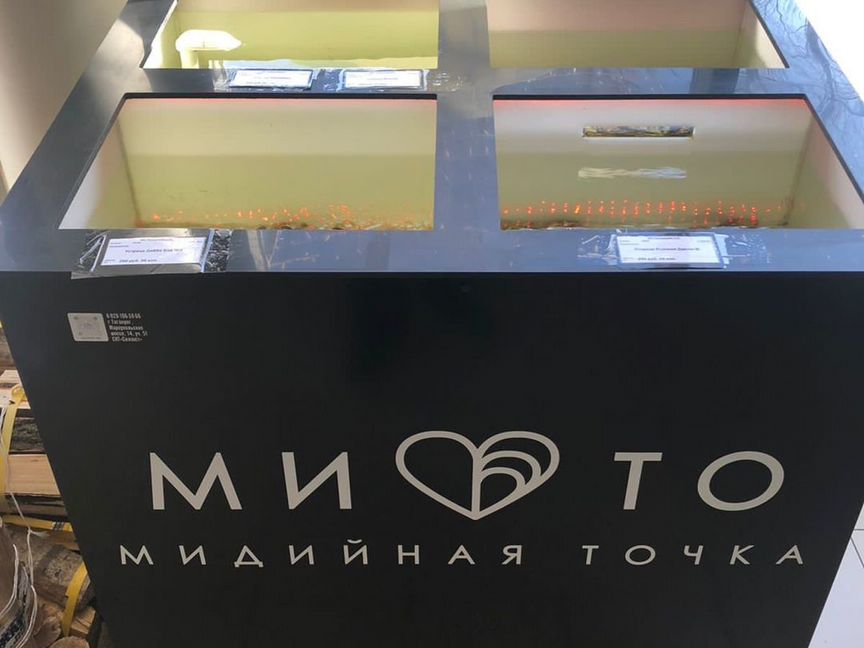 Аквариум для морепродуктов