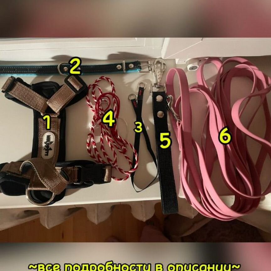 Амуниция для собак