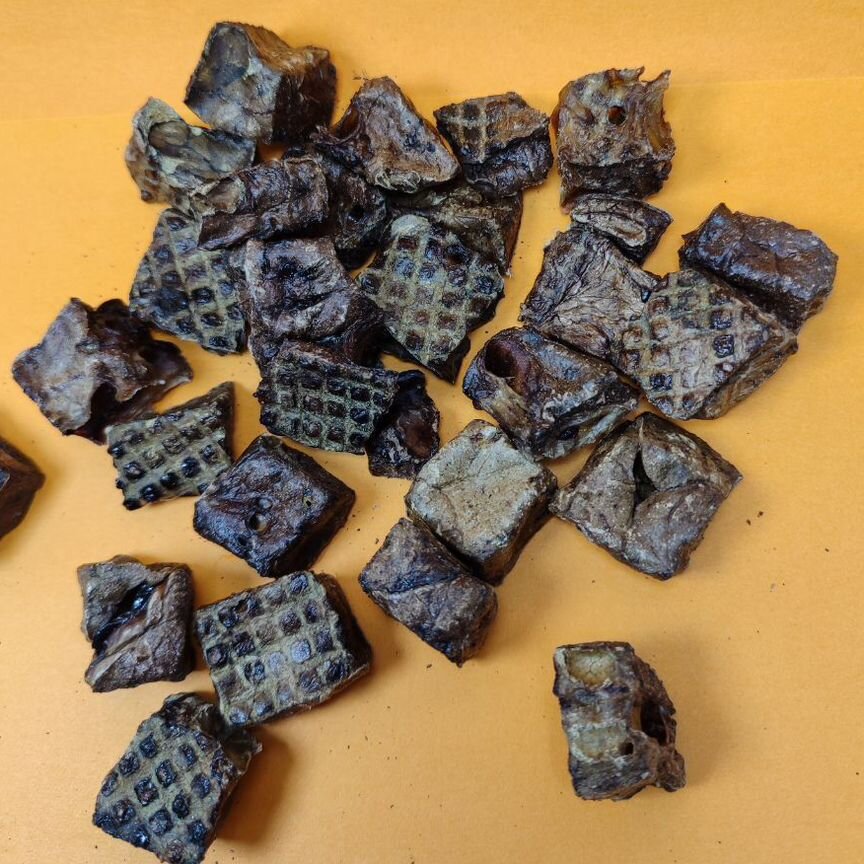 Собачья радость, сухое легкое